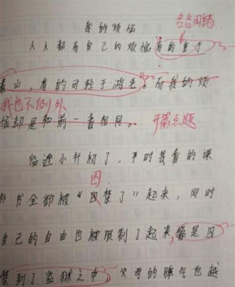 女贝网sp作文 图片搜索