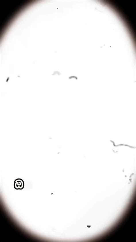 කම්මැලි නැතුව පාඩම් කරන විදිහ හොඳම ක්‍රම 6ක් Tiktok