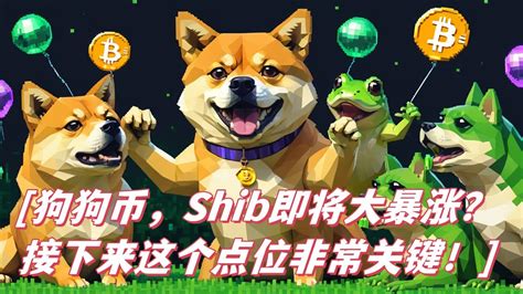 狗狗币doge，shib即将大暴涨？接下来这个点位非常关键，你必须要知道！比特币也到了生死临界点！！ Youtube