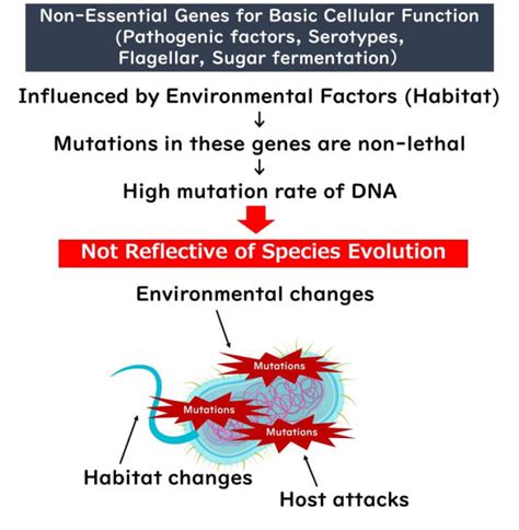 Streamlined Molecular Methods For Microbial Identification A Practical Guide Introduction To