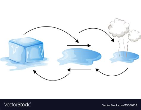 Diagram Showing How Water Changes Forms Royalty Free Vector