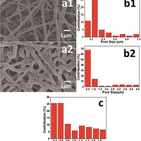 A Sem Images And B Pore Size Distributions From The Double Layer