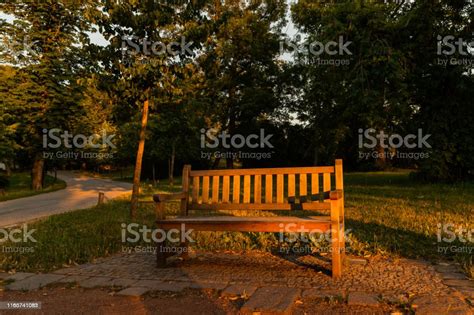 숲을 통과하는 길에 있는 외로운 나무 벤치가 여름 저녁에 일몰 에 오렌지 색톤의 벤치에 빛나는 광선과 함께 Spilberk Castle Brno 체코 공화국으로 향한다 0