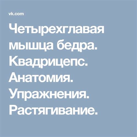 Четырехглавая мышца бедра Квадрицепс Анатомия Упражнения Растягивание