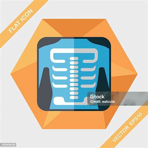 X레이 평편 아이콘크기 긴 Shadow 건강관리와 의술에 대한 스톡 벡터 아트 및 기타 이미지 건강관리와 의술 벡터 부상 Istock