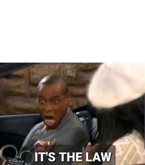 Its The Law Meme Generator