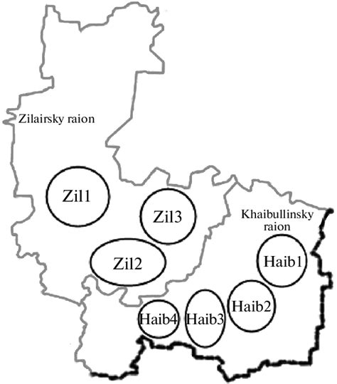 Grouping Of Honeybee Subpopulations In Zilairsky And Khaibullinsky