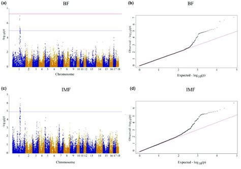 The −log10 P Value Of Each Snp Y Axis Across The Chromosomes X Axis