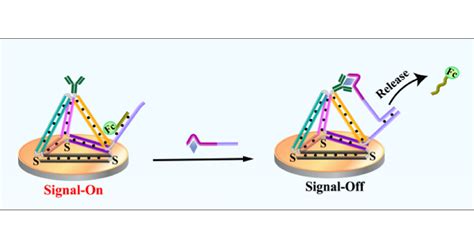 Antibody Protein Aptamer Electrochemical Biosensor Based On Highly Efficient Proximity Induced