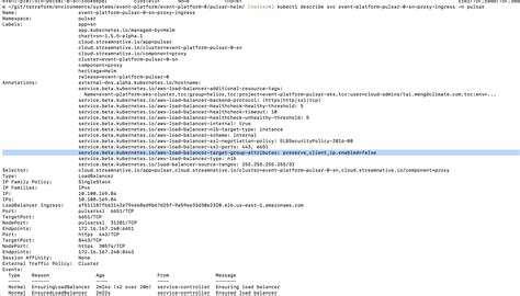 Installation Of Aws Load Balancer Failed To Deploy Successfully · Issue