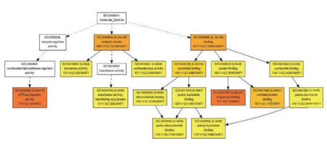 Gene Ontology Go Analysis Of Switchgrass Heat Stress Induced Genes