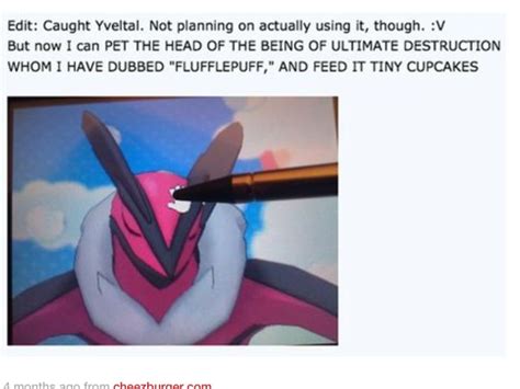 Pin By Jessie Blue On POKEMON Pokemon Funny Pokemon Pokemon Memes