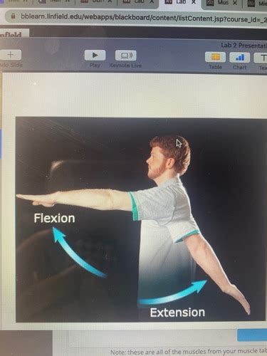 Movements Flashcards Quizlet