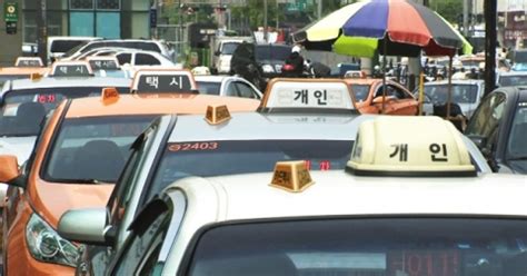 고속터미널 택시승강장 1분 이상 주정차 단속