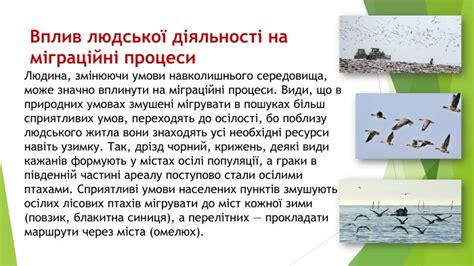 Презентація Міграції тварин