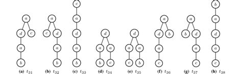 The Set Ht 3 T 31 T 38 Derived From The Unrooted