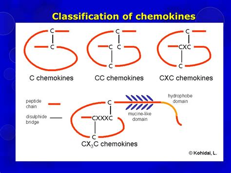 PPT Role Of Chemokines Genetic Polymorphisms In Diseases PowerPoint Presentation ID