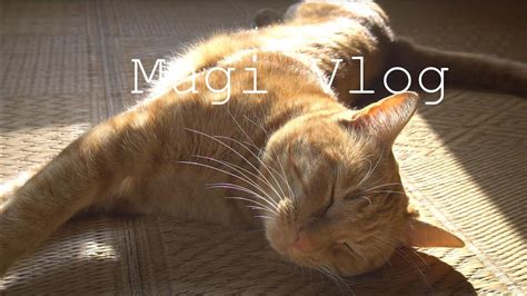 Mugi Vlog 02 YouTube