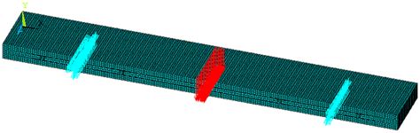simulation model of the microvascular network download scientific