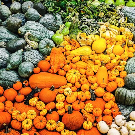 Robin Weeks Originalrobinweeks • Instagram Photos And Videos