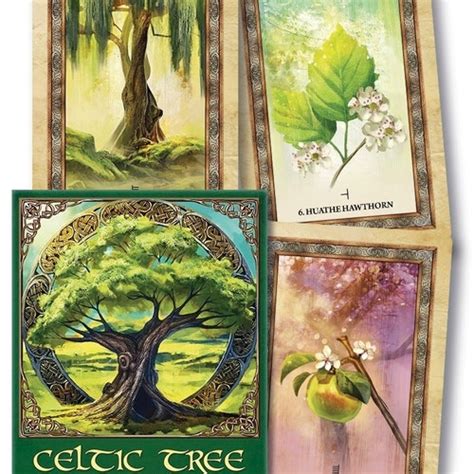 Cosmic Dancer Oracle Cards & Guidebook Set Tarot Card Deck - Etsy