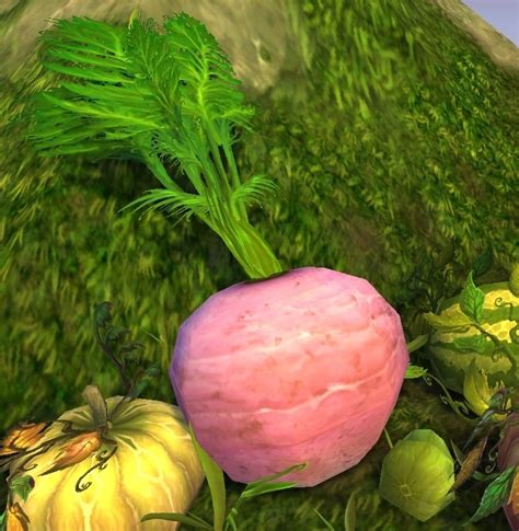 Pink Turnip Item World Of Warcraft