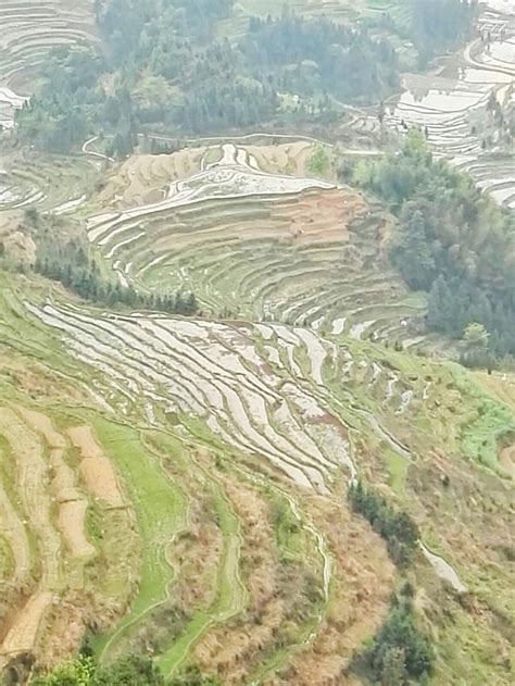 湖南新化紫鵲界梯田 每日頭條