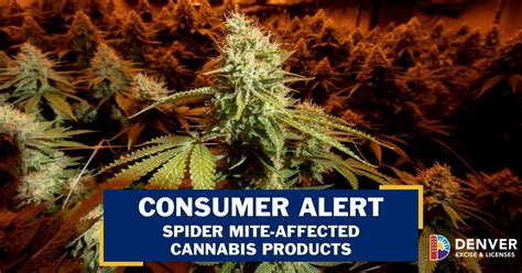 Department Of Excise And Licenses City And County Of Denver On