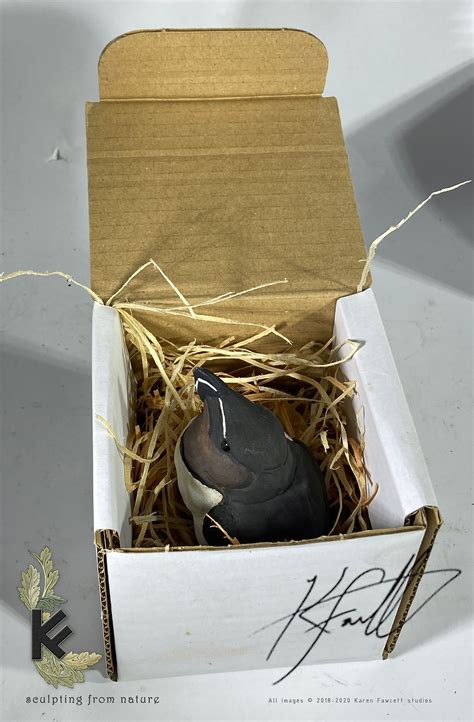 Common Hen K F Studios