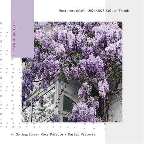Refresh Your Brand With Colour Trends Buttercrumble Design Firm