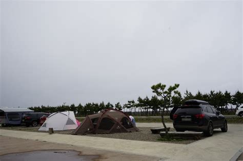 양양 낙산 해변 야영장 캠핑 네이버 블로그