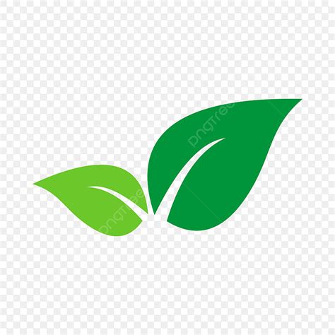 Green Leaves Vector Icon Design On White Background Various Shapes Of