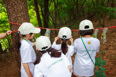 Walkee와 함께 배우면서 즐기는 ‘포레스트 키즈 여름 캠프 Walkerhill Story