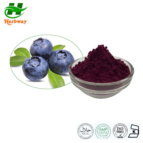 Herbway Kosher Halal Fssc HACCP Certified Herbal Extract Bilberry