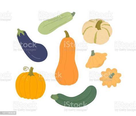 만화 유기농 가을 야채 세트 호박 호박 양배추 스쿼시 제과점 당근 양파 후추 버섯의 수확 플랫 손으로 그린 벡터 일러스트 레이 션 쥬끼니에 대한 스톡 벡터 아트 및 기타