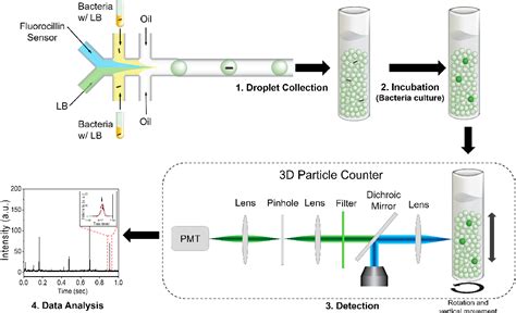 Figure 1 From Rapid Detection Of β Lactamase Producing Bacteria Using