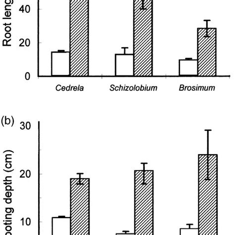 Root Length A And Rooting Depth B Of Understorey Open Bars And Download Scientific