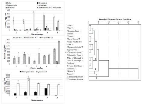 the dendrogram of hierarchical cluster analysis hca of plum fruit
