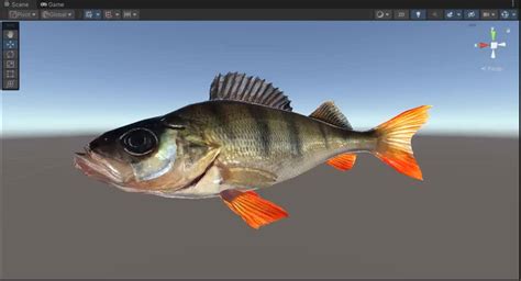 Ds Max Max Cg