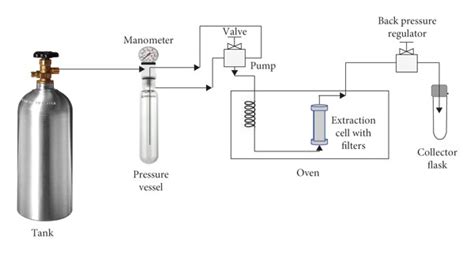 Environmentally Friendly Methods For Flavonoid Extraction From Plant Material Impact Of Their