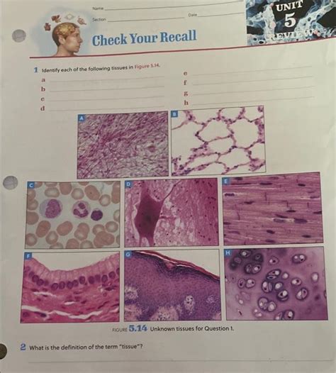Solved Check Your Recall 1 Identify Each Of The Following