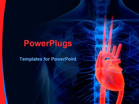 Free Heart Powerpoint Backgrounds Cardiovascular Powe Vrogue Co