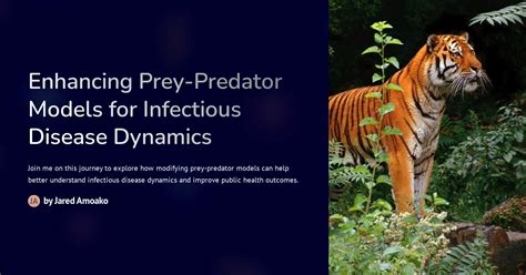 Enhancing Prey Predator Models For Infectious Disease Dynamics