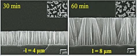 figure 4 from design of silicon nanowire array for pedot pss silicon
