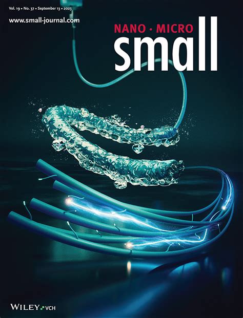 Small怎么样
