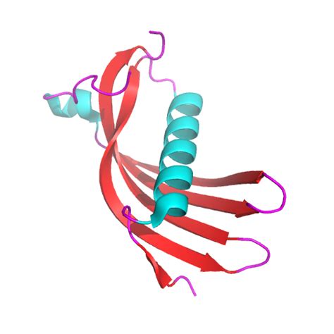 Cystatin C Wikipedia