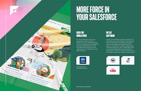 Faye More Force In Your Salesforce