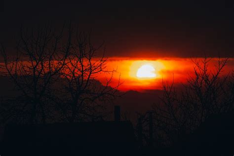 Foto Silueta De árboles Desnudos Durante La Puesta Del Sol Imagen