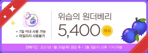 메이플 원더베리 12기 및 자석펫 3기의 정보와 획득방법까지 네이버 블로그