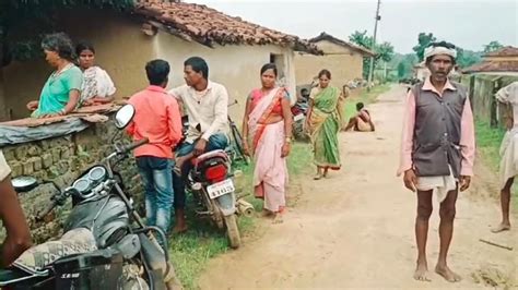 Tiger Attack भाजी तोड़ने जंगल गई महिला को बाघ ने बनाया शिकार दूसरे